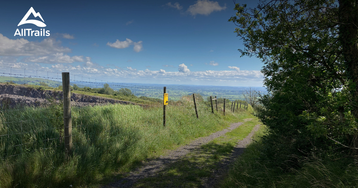 Best wildflower trails in Axbridge | AllTrails