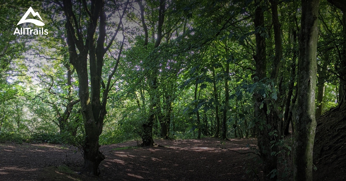 10 Best Trails, Walks, and Paths in Chard | AllTrails