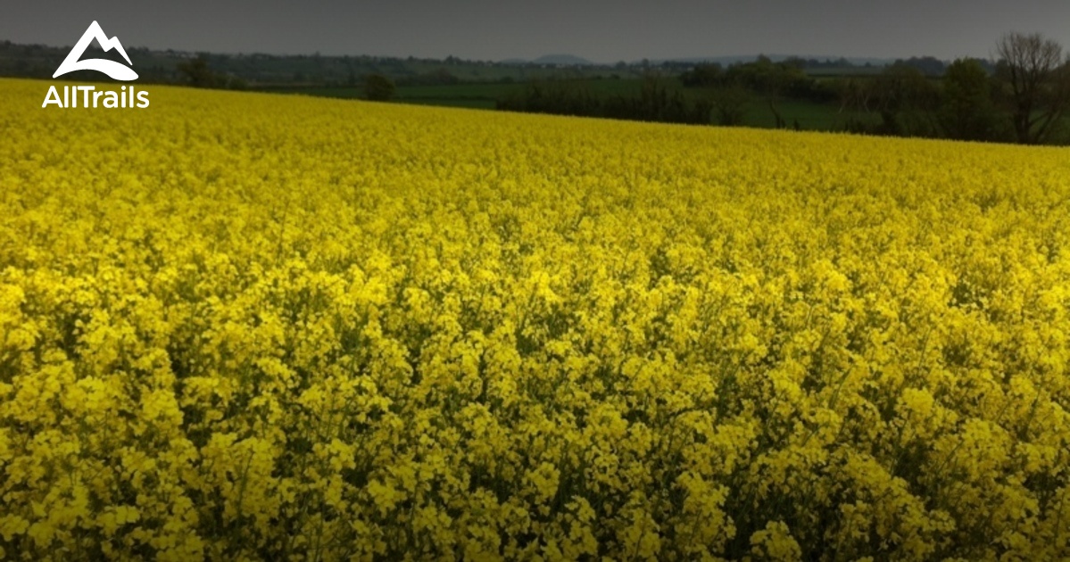 10 Best forest trails in Frome | AllTrails