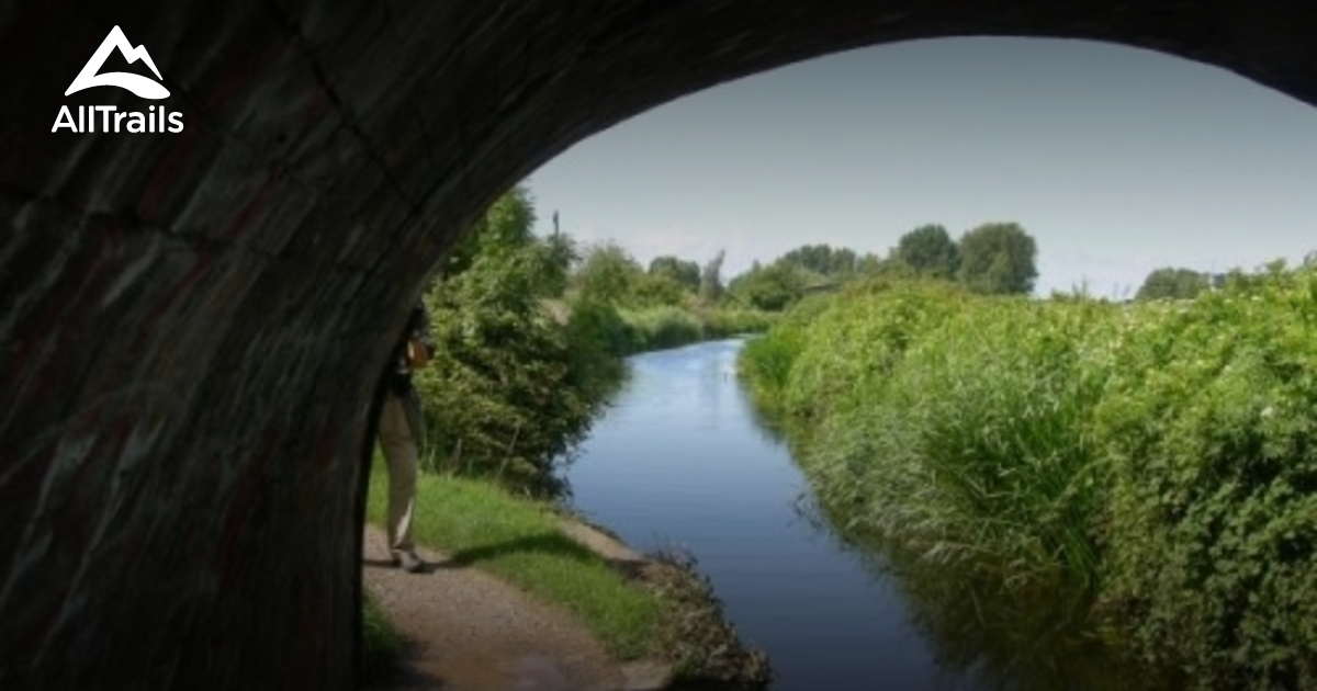 Best Trails, Walks, and Paths in Langport | AllTrails
