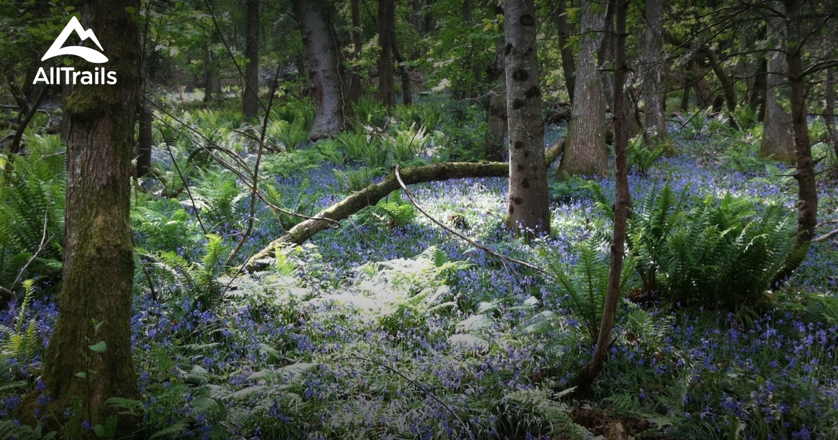 10 Best walking trails in Minehead | AllTrails