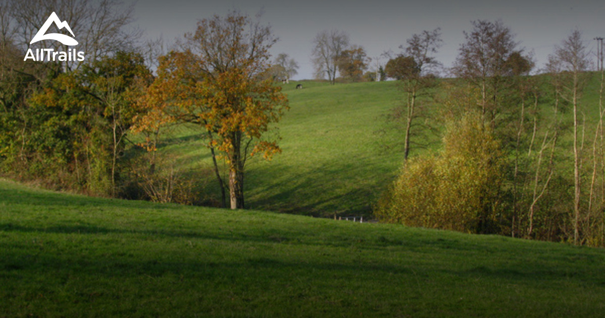 10 Best Trails, Walks, and Paths in Radstock | AllTrails