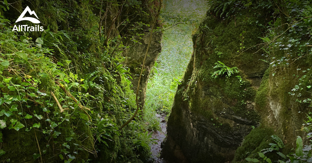 10 Best Trails, Walks, and Paths in Wells | AllTrails