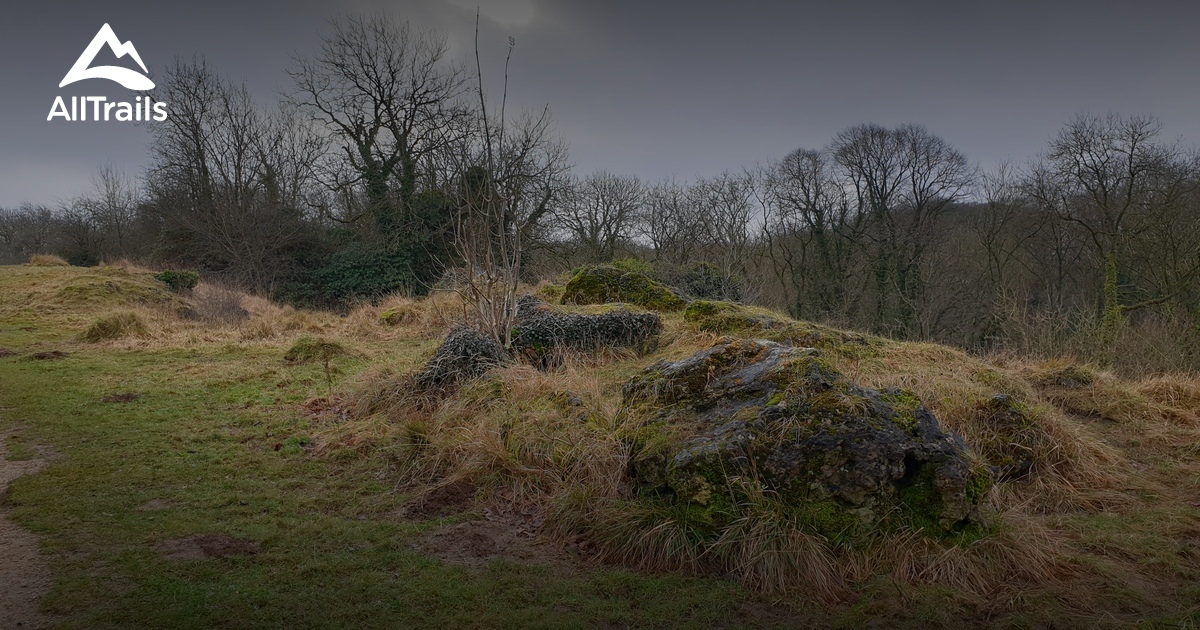 10 Best walking trails in Anston | AllTrails