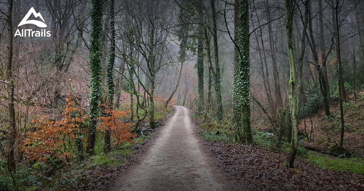 10 Best Trails, Walks, and Paths in Cheadle | AllTrails