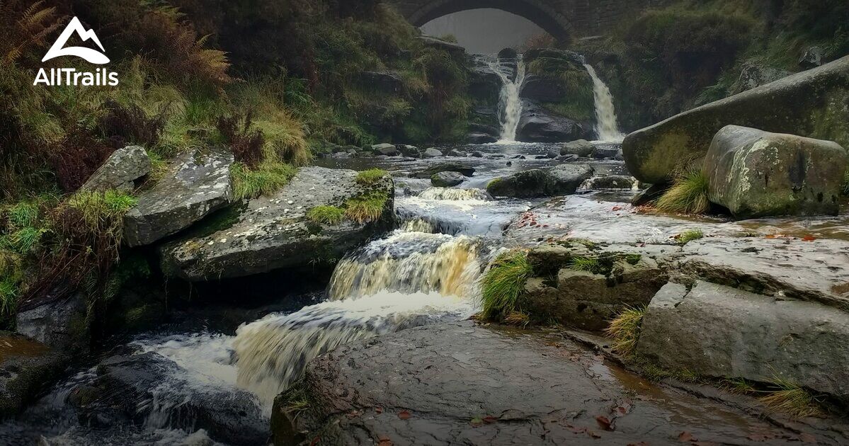 10 Best forest trails in Gradbach | AllTrails