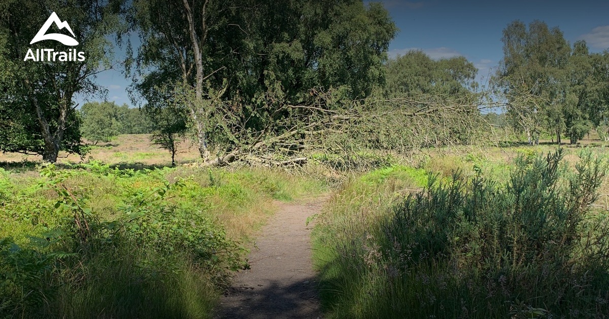 10 Best Trails, Walks, and Paths in Rugeley | AllTrails