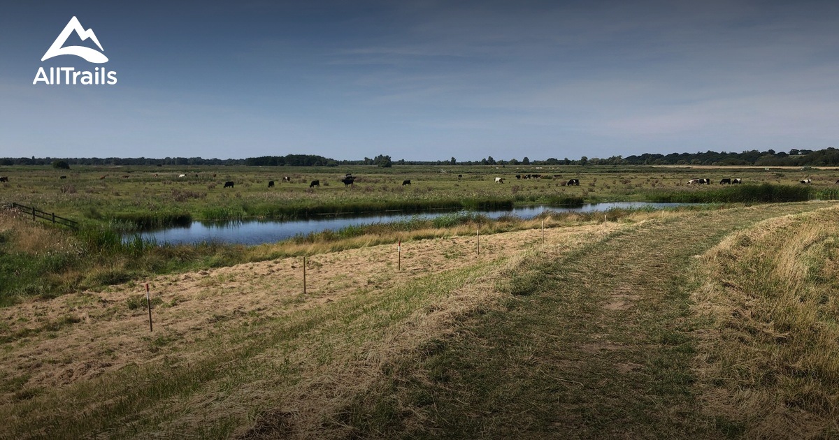 10 Best Trails, Walks, and Paths in Beccles | AllTrails