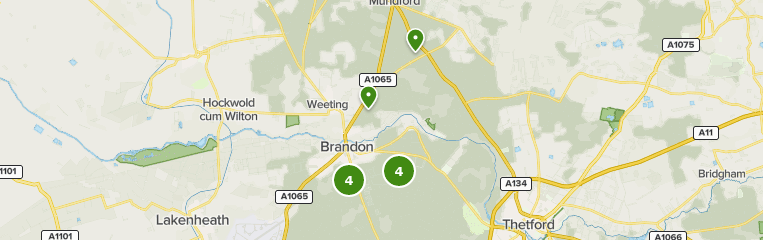 Best trails in Brandon, Suffolk | AllTrails