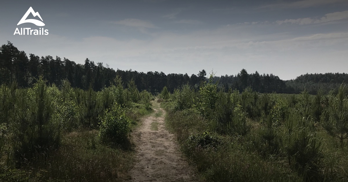 10 Best Trails, Walks, and Paths in Brandon | AllTrails