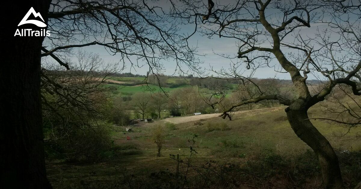 Best hikes and trails in Nayland | AllTrails