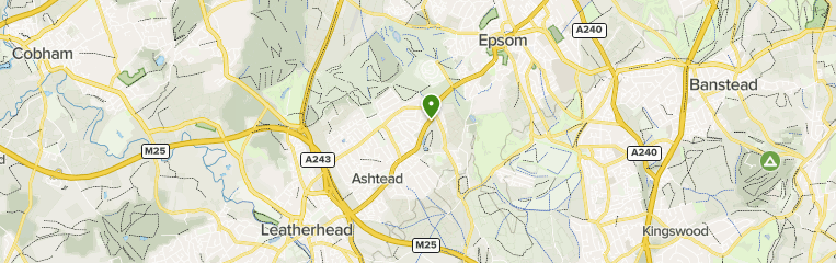 Best Trails near Ashtead, Surrey England | AllTrails