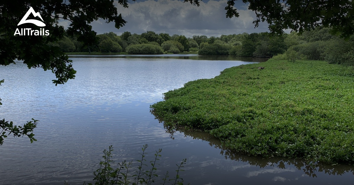 Best forest trails in Ashtead | AllTrails