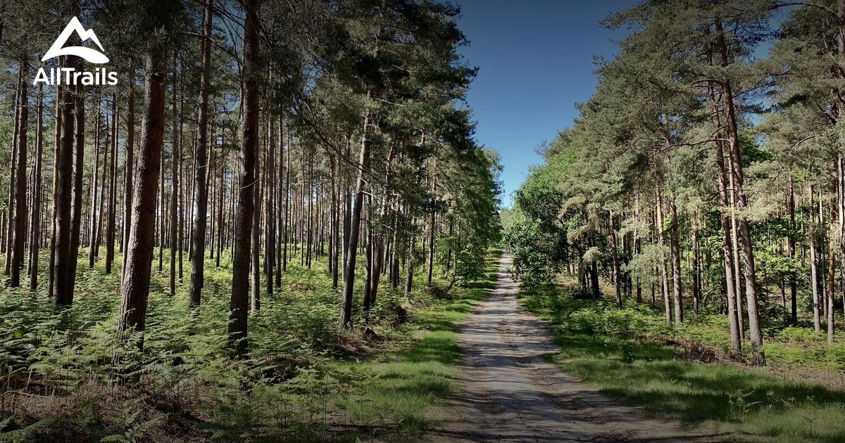 Best hikes and trails in Bagshot | AllTrails