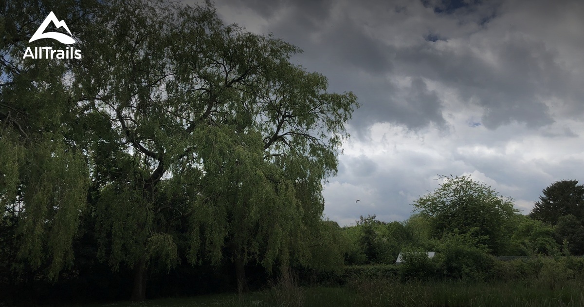 Best Forest Trails in Capel | AllTrails