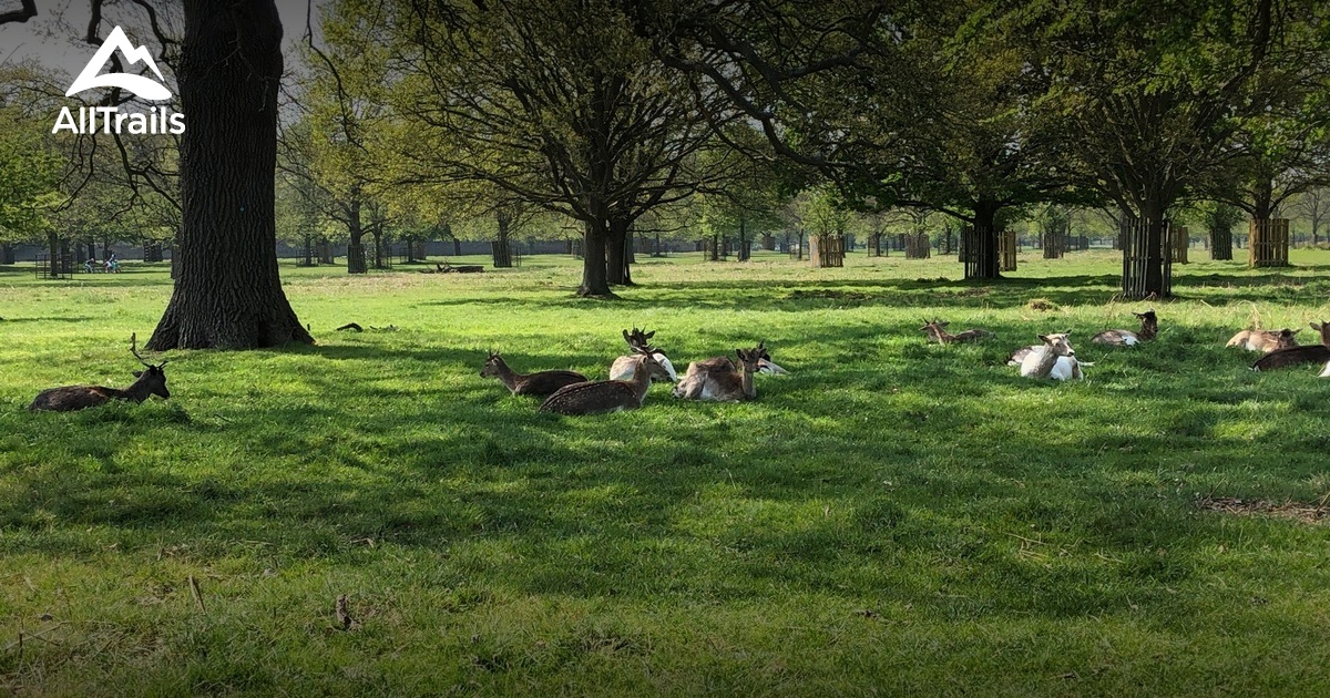 Best Historic Site Trails in East Molesey | AllTrails