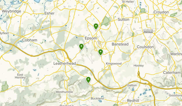Best Trails near Epsom, Surrey England | AllTrails