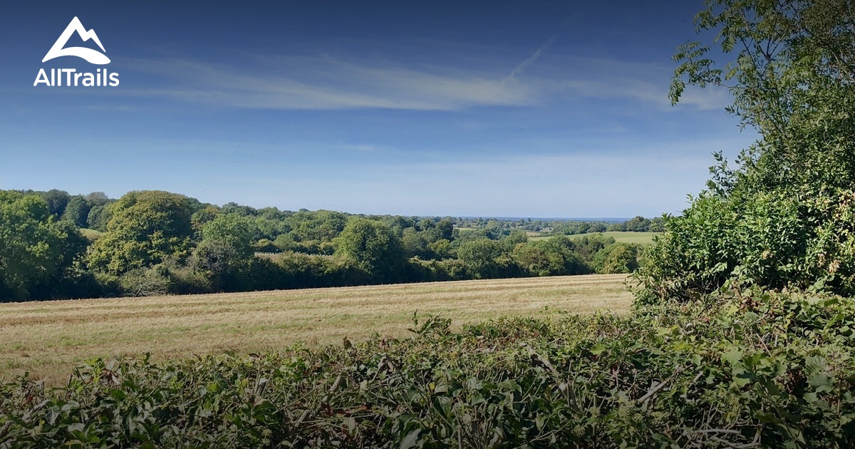 10 Best Trails, Walks, and Paths in Epsom | AllTrails