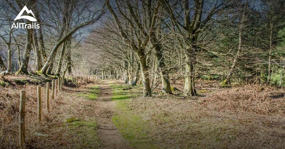 10 Best trails and hikes in Hascombe | AllTrails
