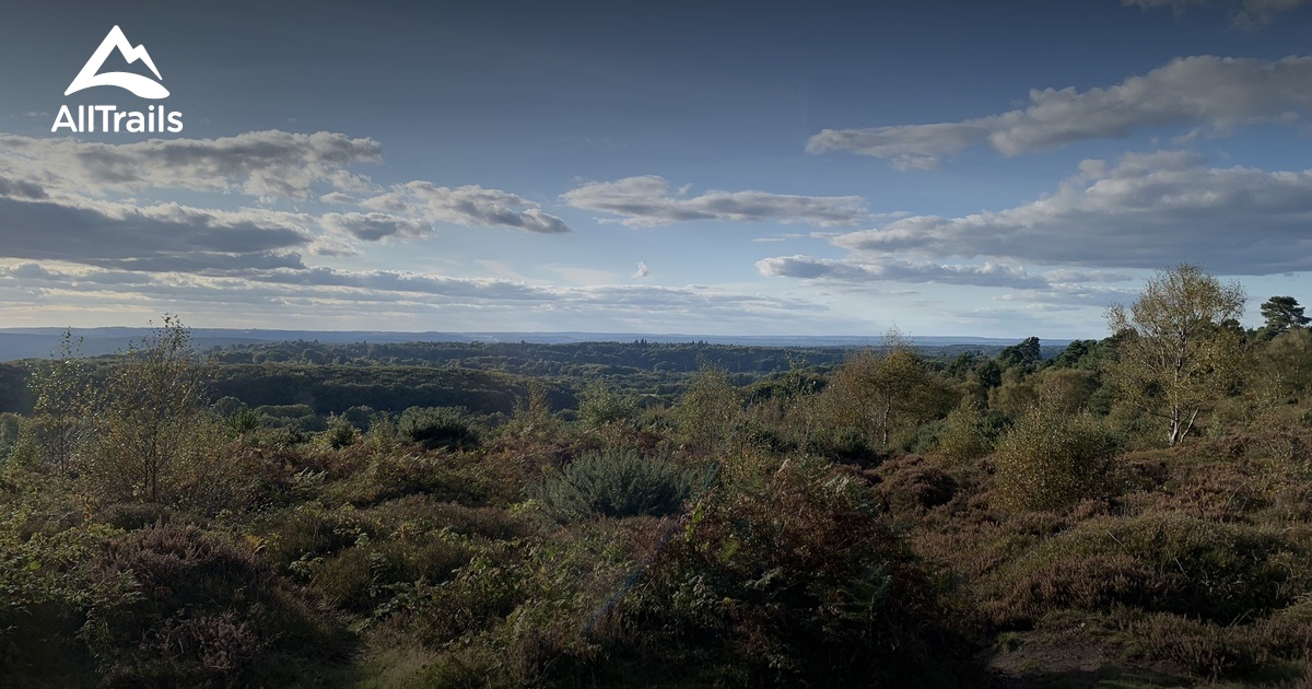10 Best trails and hikes in Haslemere | AllTrails