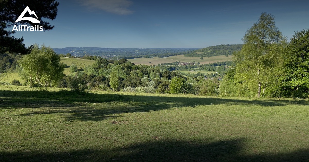 10 Best Trails, Walks, and Paths in Mole Valley | AllTrails