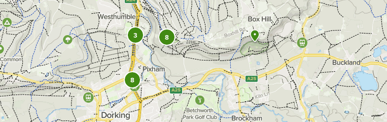 Mole Valley: as 10 melhores trilhas e caminhadas | AllTrails