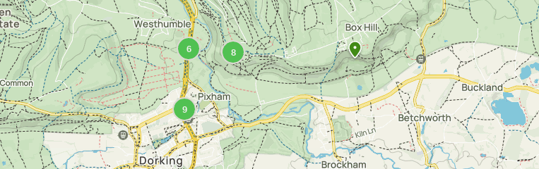 10 Best Trails and Hikes in Mole Valley | AllTrails