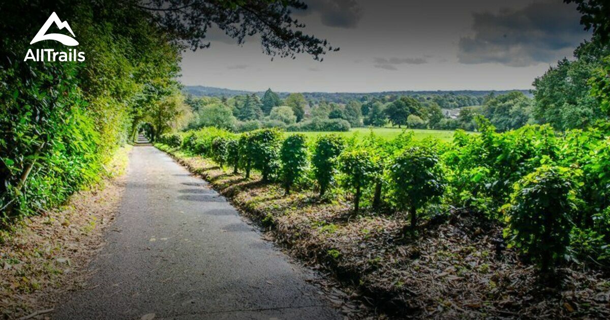 10 Best Trails, Walks, and Paths in Oxted | AllTrails