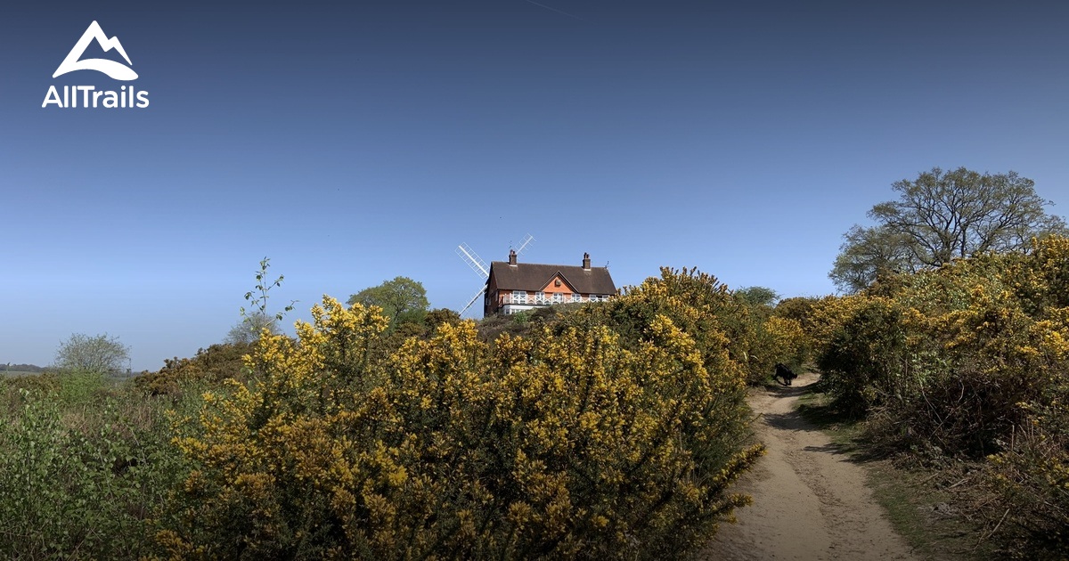 10 Best Trails, Walks, and Paths in Reigate and Banstead | AllTrails