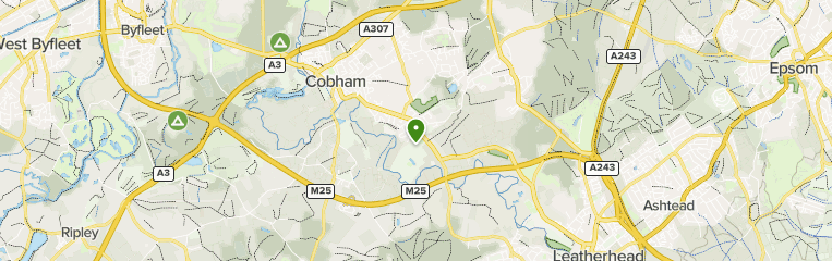 Best trails in Stoke D'Abernon, Surrey | AllTrails