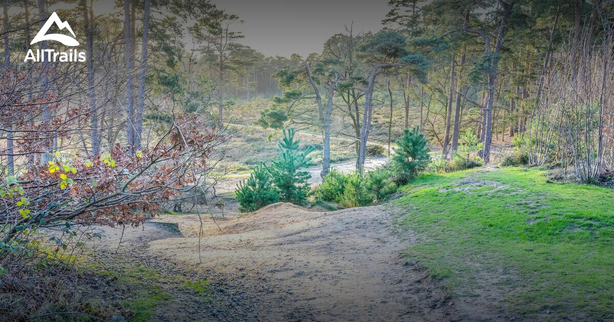 Best walking trails in Stoke D'Abernon | AllTrails