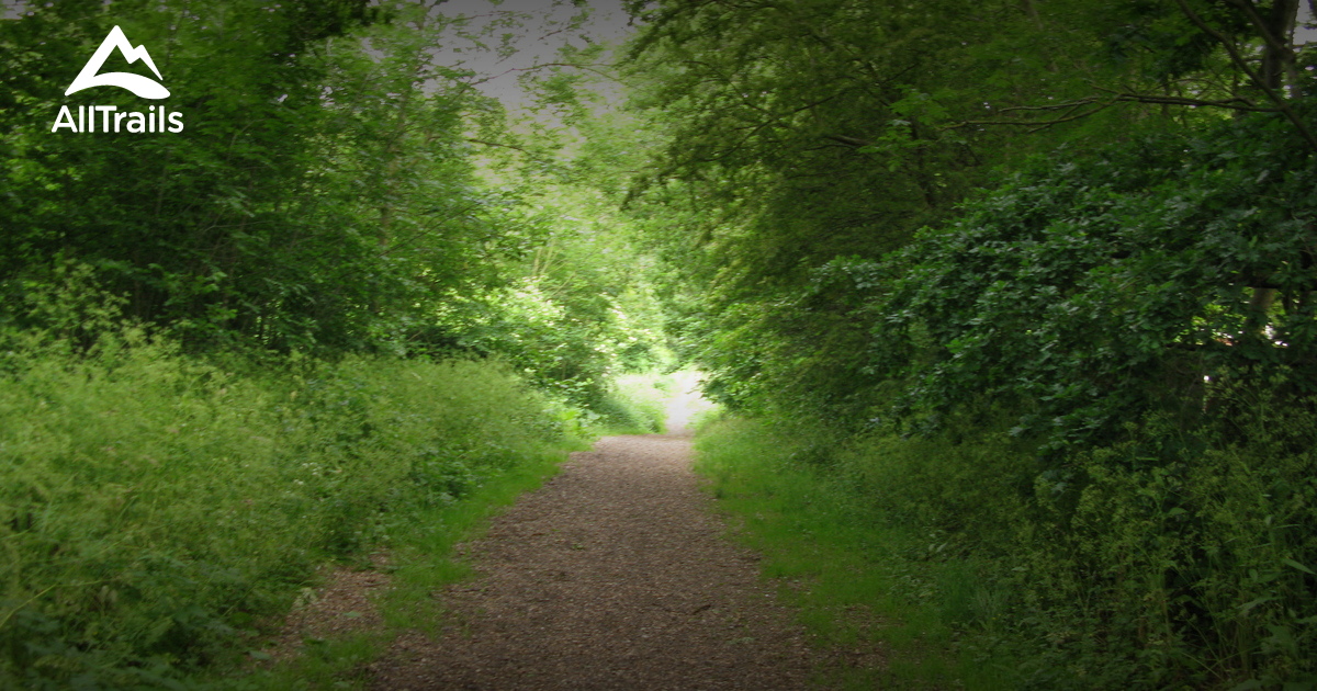 Best historic site trails in Thames Ditton | AllTrails