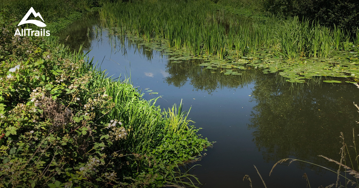 Best hikes and trails in West Molesey | AllTrails