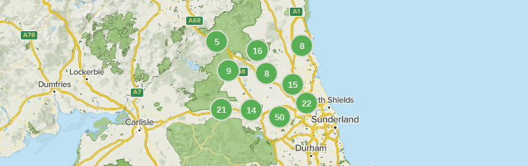 10 Best Trails, Walks, and Paths in Newcastle upon Tyne | AllTrails