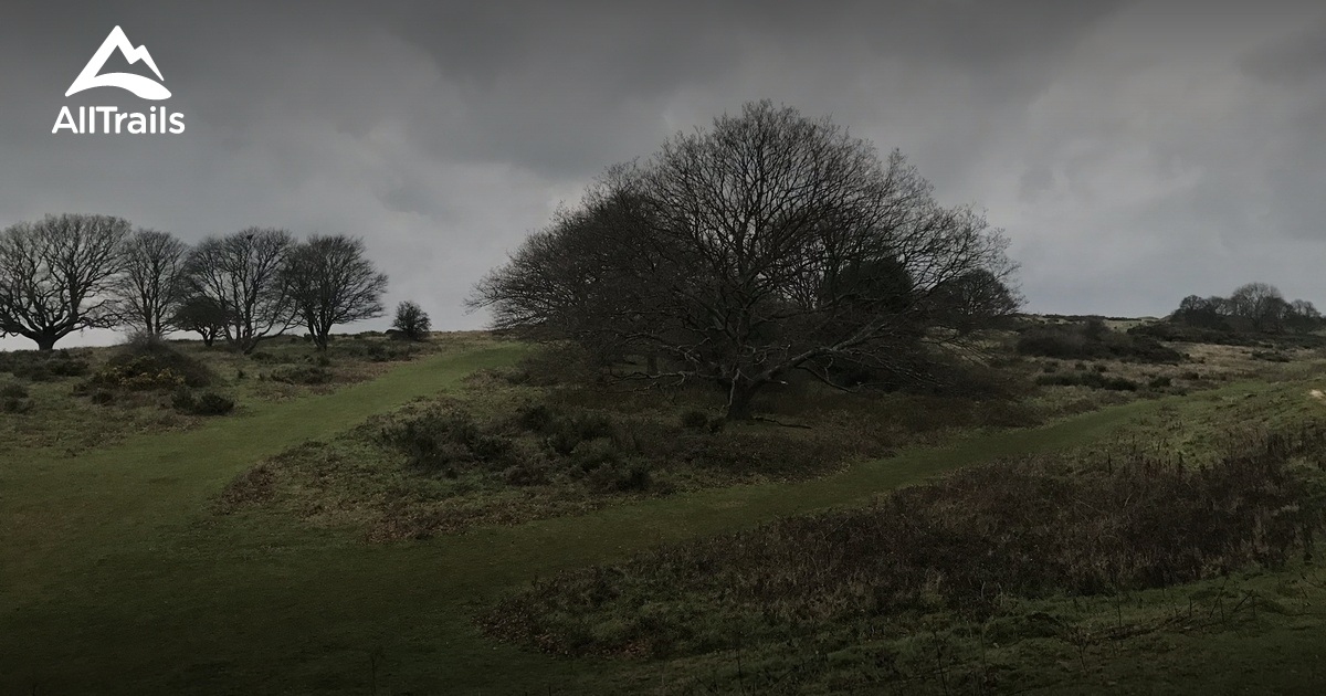 10 Best Historic Site Trails in Findon | AllTrails