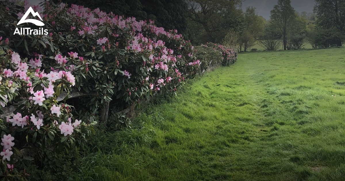 10 Best trails and hikes in Henfield | AllTrails