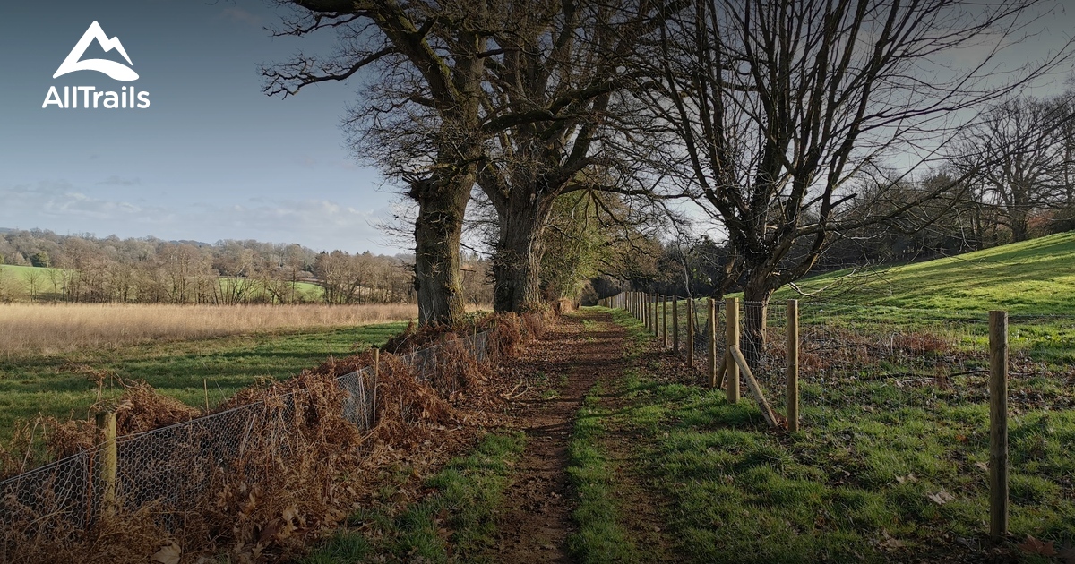 10 Best trails and hikes in Midhurst | AllTrails