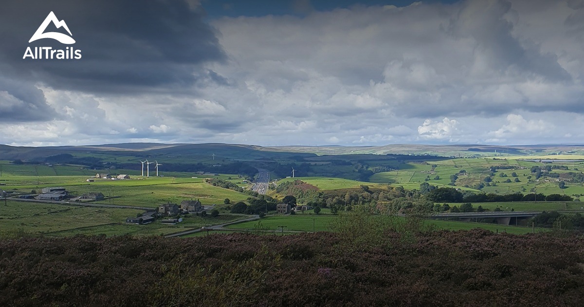 Best wildflower trails in Elland | AllTrails