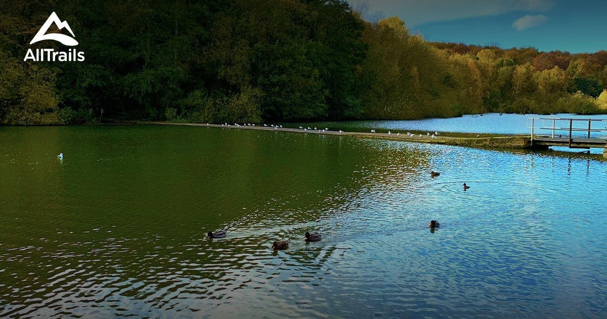 10 Best trail running trails in Wakefield | AllTrails