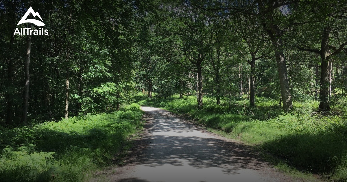10 Best Trails, Walks, and Paths in Bewdley | AllTrails