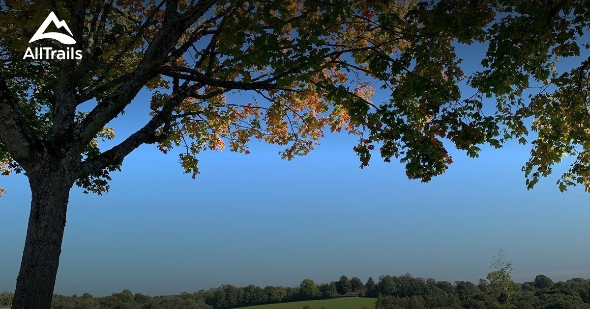 10 Best Trails, Walks, and Paths in Kidderminster | AllTrails