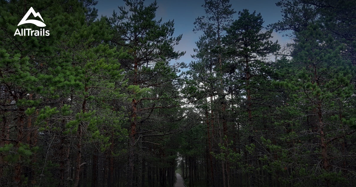 Best Trails, Walks, and Paths in Kolga | AllTrails