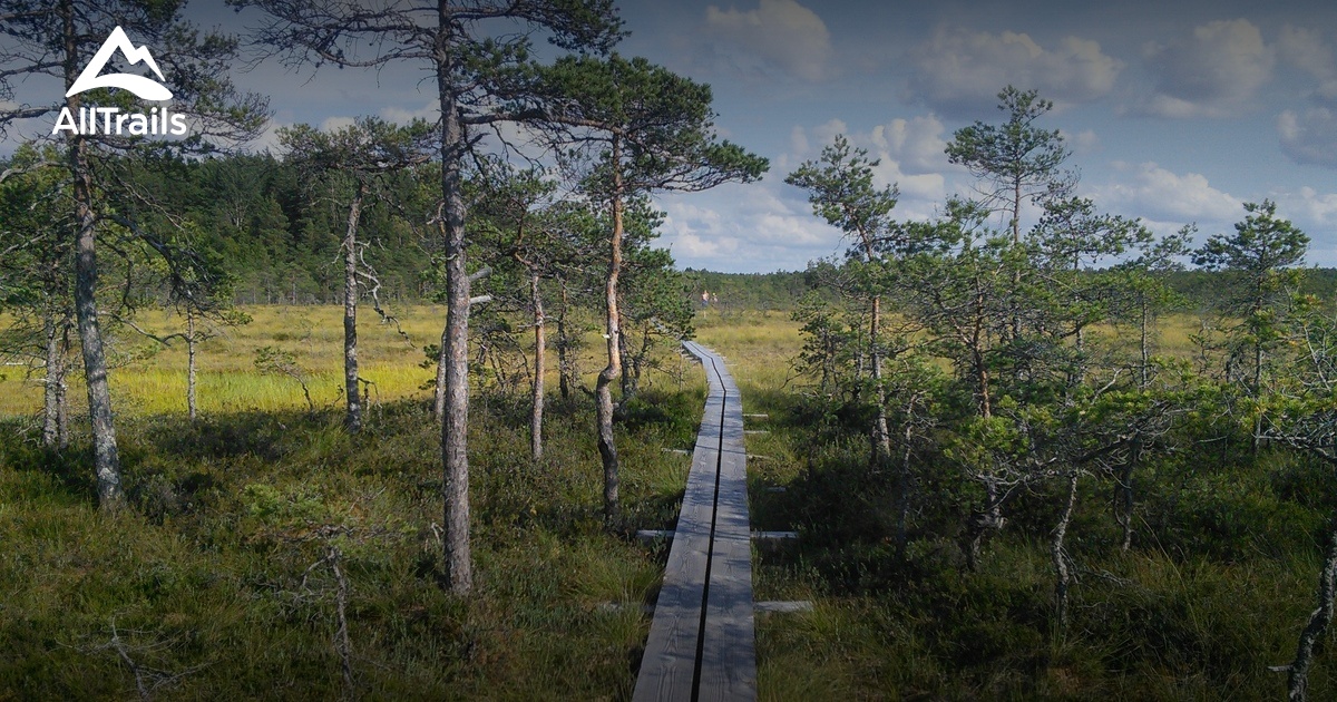 2023 Best Trails, Walks, and Paths in Vetla | AllTrails