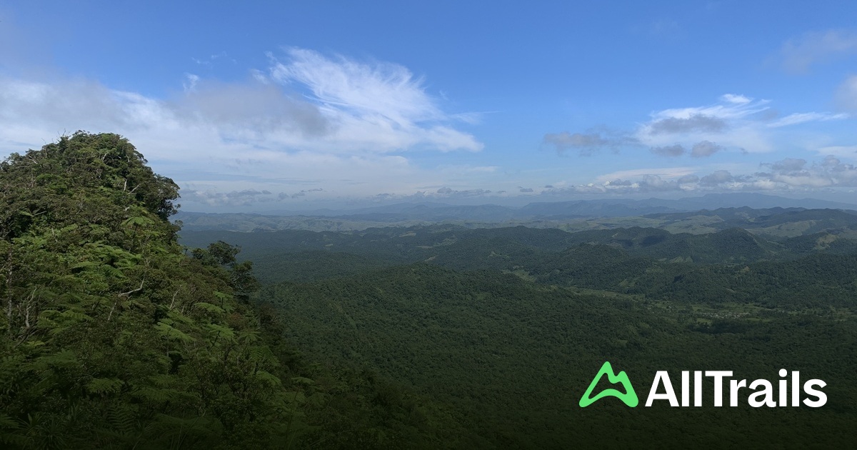 Best hikes and trails in Tavua | AllTrails