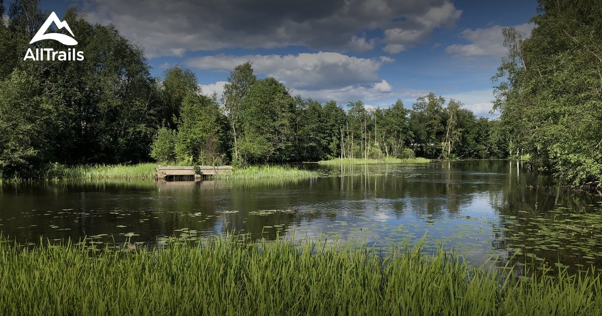 Best hikes and trails in Muurame | AllTrails