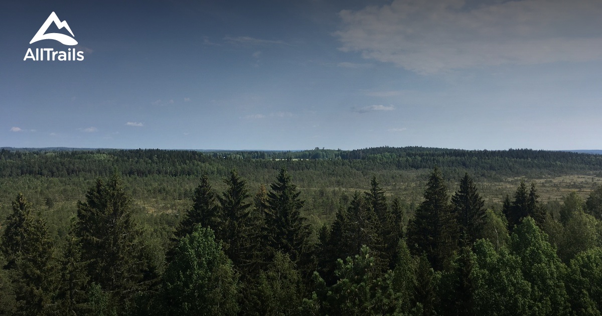 2023 Best Wild Flowers Trails in Tammela | AllTrails