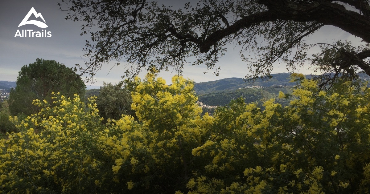 Best moderate trails in Auribeau-sur-Siagne | AllTrails