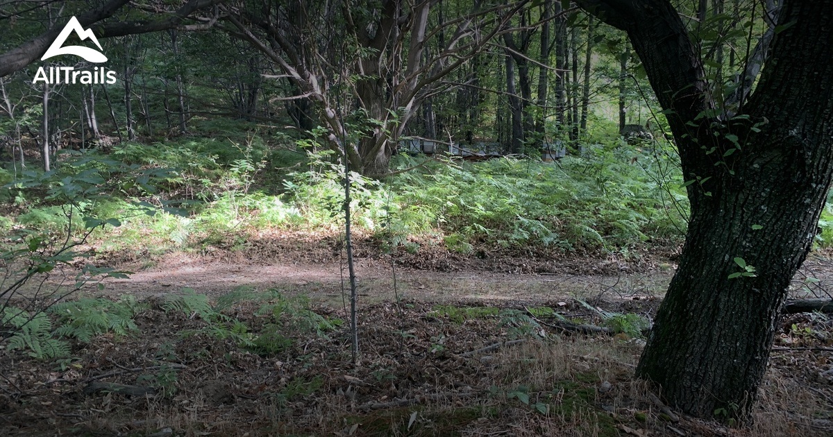 Best hikes and trails in Valgorge | AllTrails