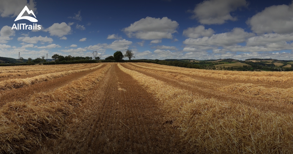 Arques : les meilleures randonnées et itinéraires | AllTrails