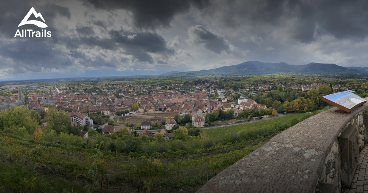 Best long trails in Obernai | AllTrails